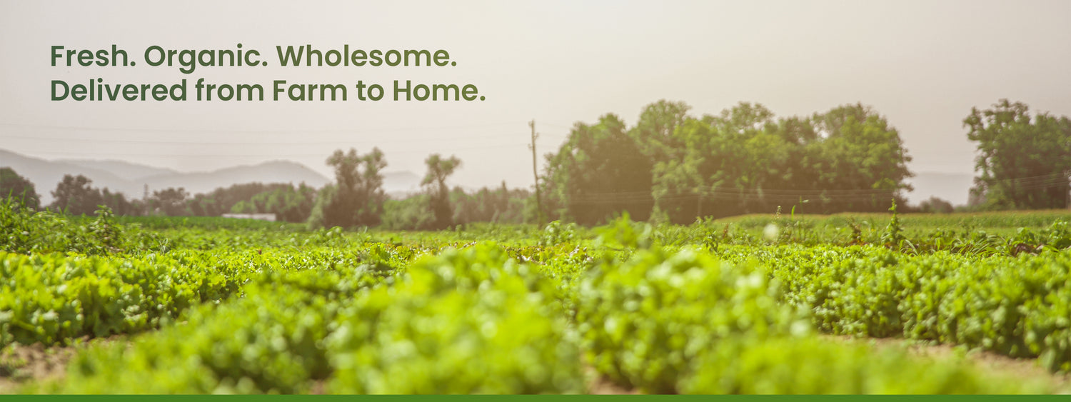 Jaivik Tokri - Authentic Organic Grocery & Veggies Online in Jaipur